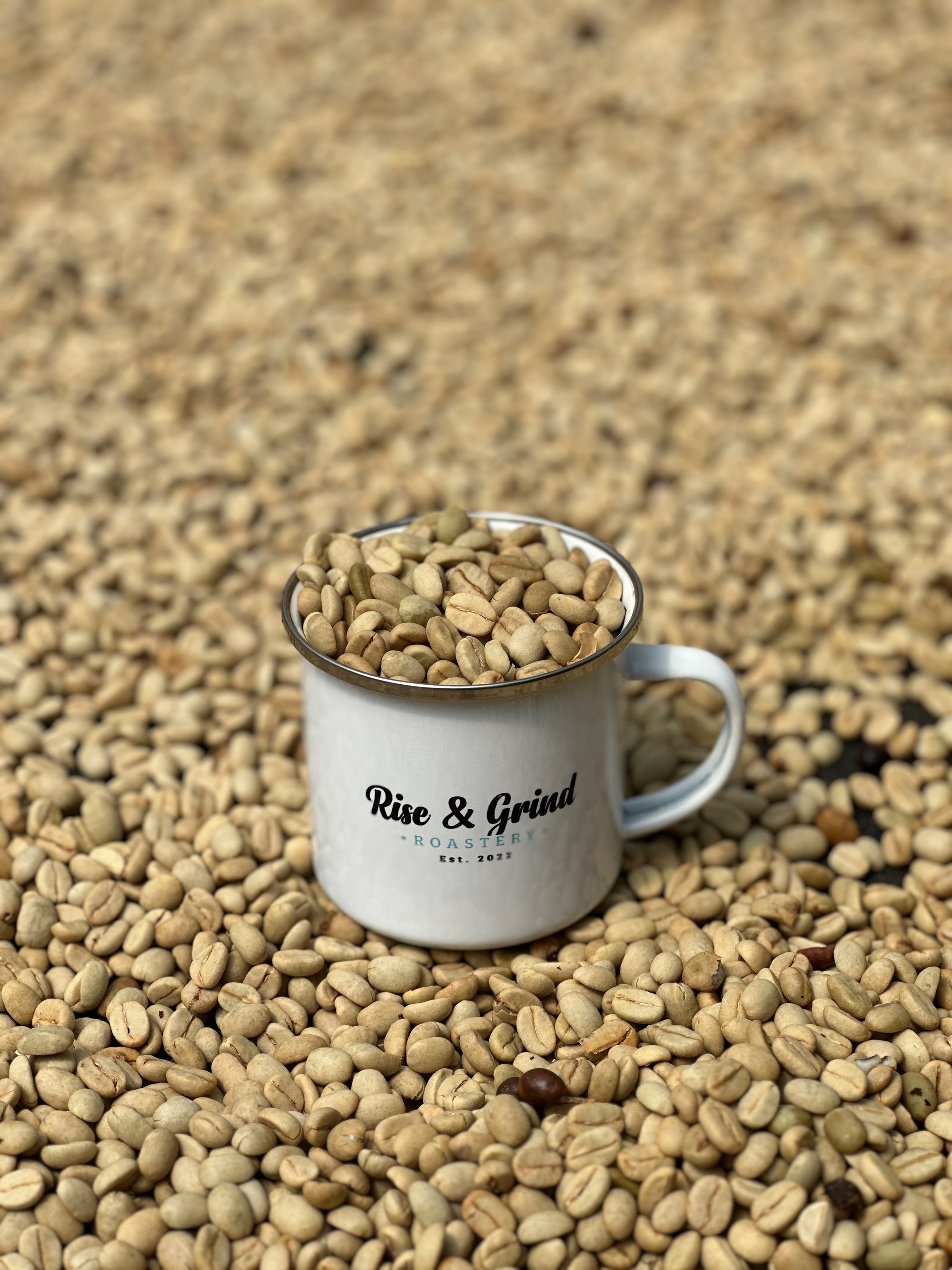 Rise & Grind - Experience the Rich Flavours of Single Origin Coffee