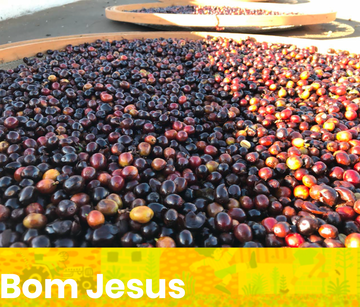 We want you to be 100% satisfied with your purchase. Please reach out ...